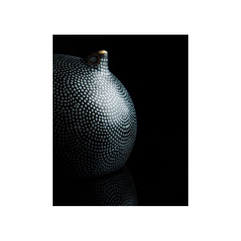 Silver guinea fowl from Ethiopia | Madame Framboise